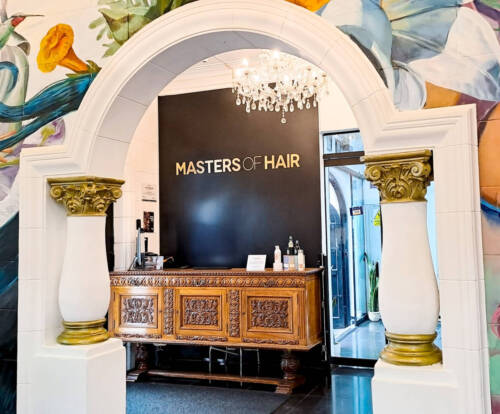 Franquicia MOH - Masters of Hair